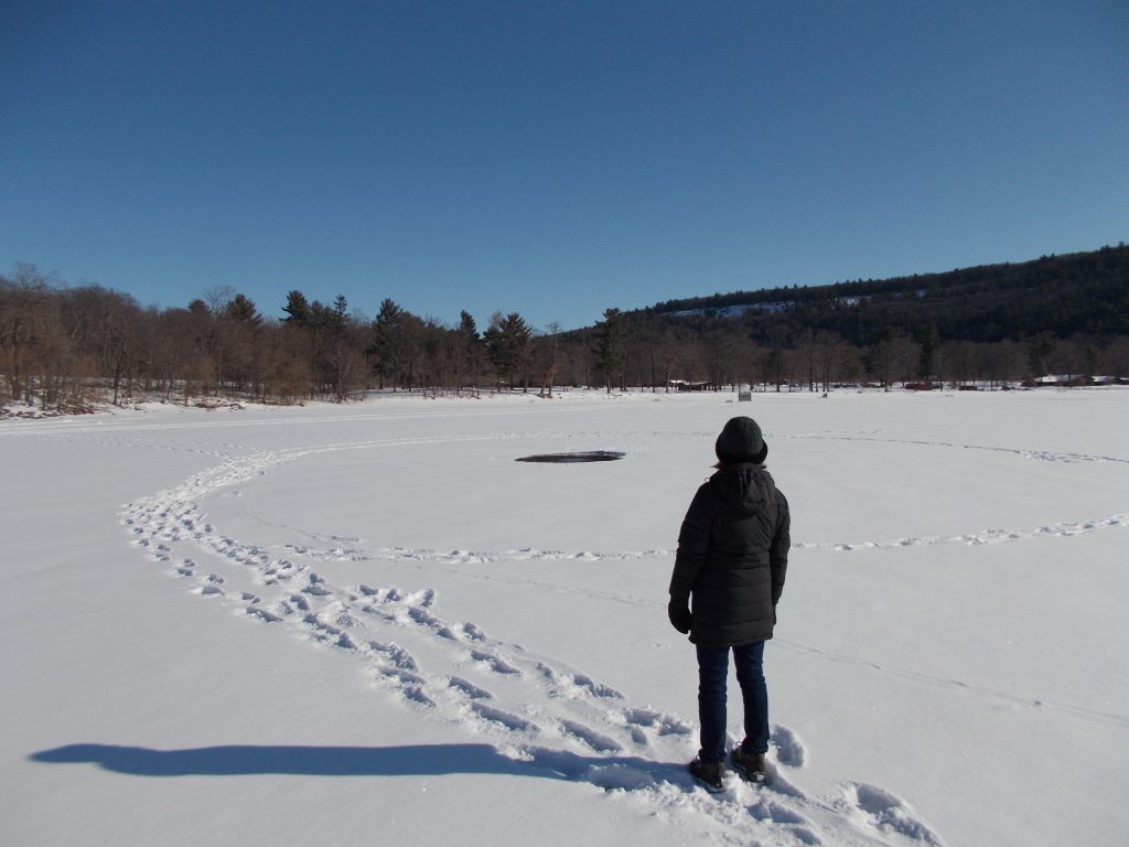 Earth Month Turns 50 During COVID - Linda Gorchels blogs